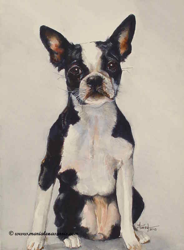 Pet Portraits – Marialena Sarris Μαριαλενα Σαρρη