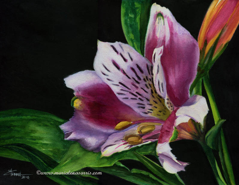 Floral Paintings – Marialena Sarris Μαριαλενα Σαρρη