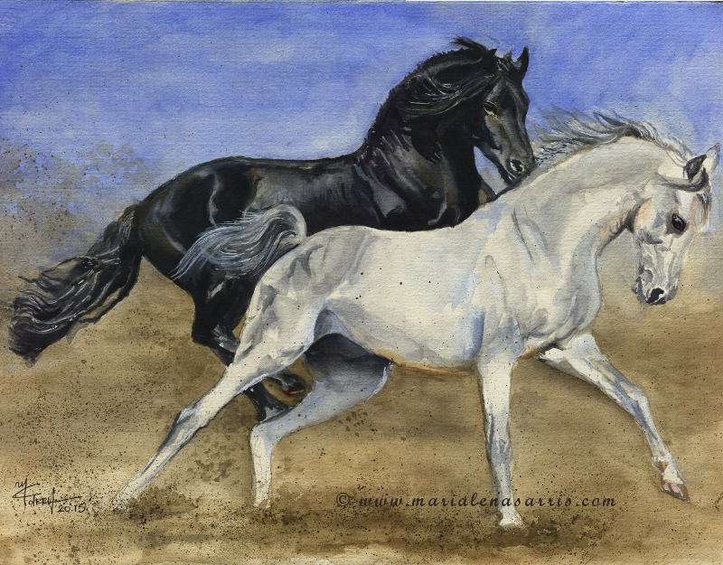 Wild Life Paintings – Marialena Sarris Μαριαλενα Σαρρη