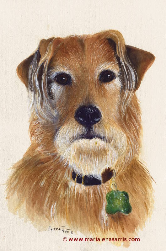 Pet Portraits – Marialena Sarris Μαριαλενα Σαρρη